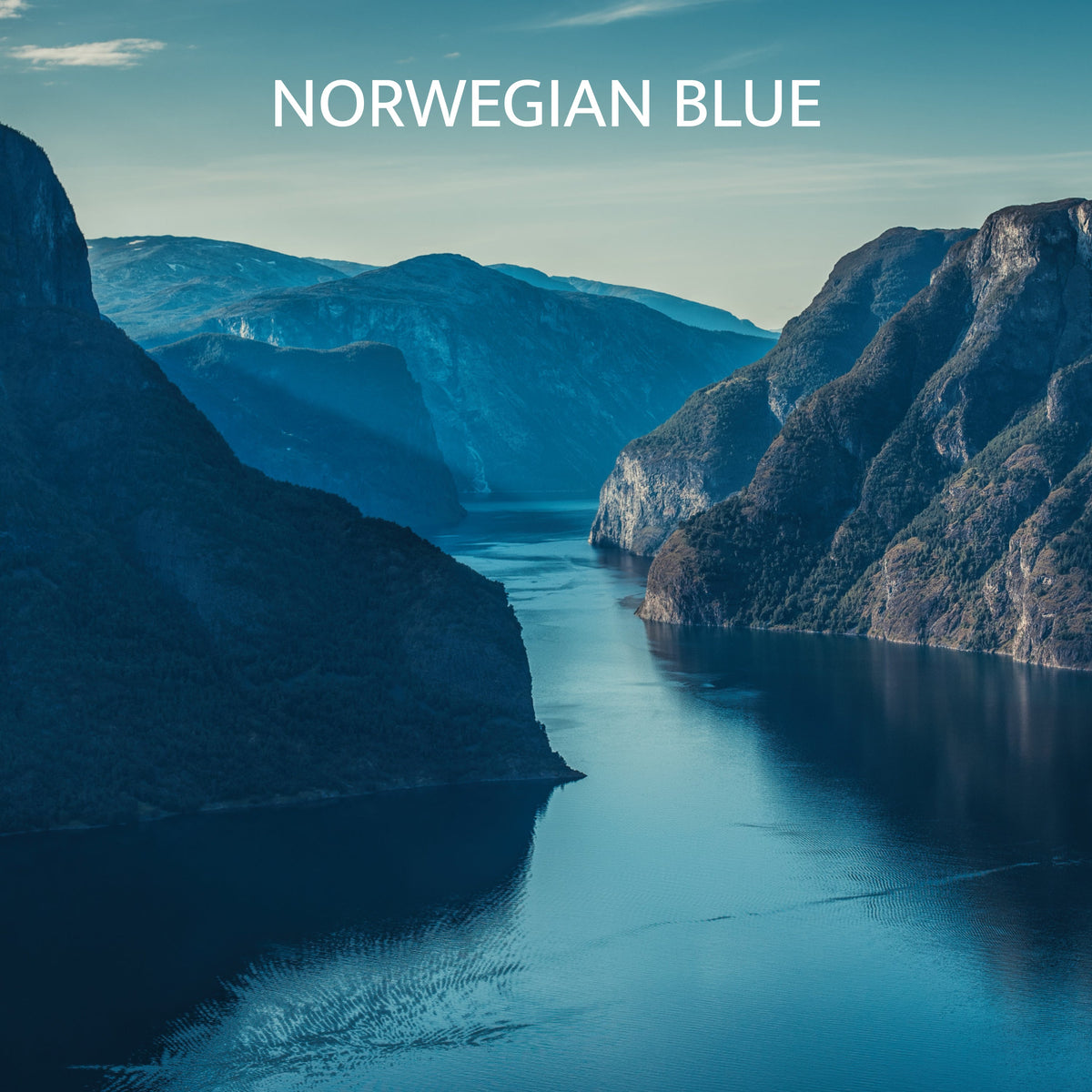 Norwegian Blue – matinée recordings